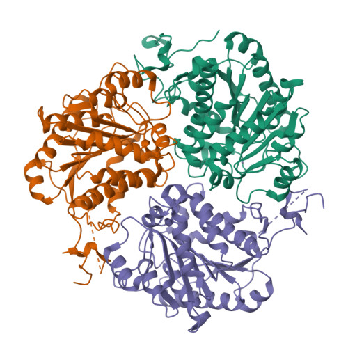 RCSB PDB - 8SNK: Crystal structure of metformin hydrolase (MfmAB) from ...