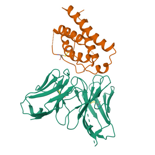 RCSB PDB - 8SOW: Structure of the complex formed by human interleukin-2 ...