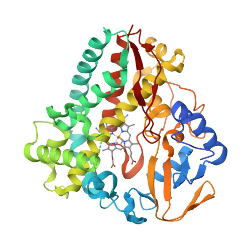 RCSB PDB - 8SPP: Crystal structure of a heme enzyme RufO in rufomycin ...