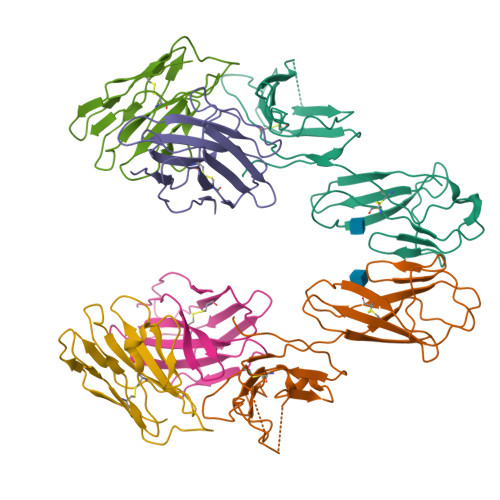 RCSB PDB - 8SR0: CryoEM structure of a therapeutic antibody ...