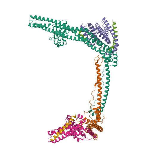 RCSB PDB - 8SRM: Structure of human ULK1 complex core (2:2:2 ...