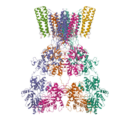 RCSB PDB - 8SS2: Structure of AMPA receptor GluA2 complex with ...
