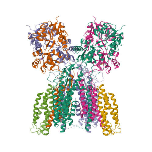 RCSB PDB - 8SS4: Structure of LBD-TMD of AMPA receptor GluA2 in complex ...