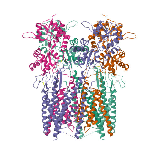 RCSB PDB - 8SS5: Structure of LBD-TMD of AMPA receptor GluA2 in complex ...