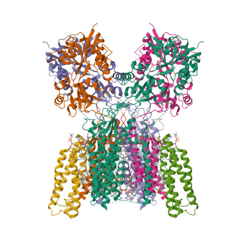 RCSB PDB - 8SS7: Structure of AMPA receptor GluA2 complex with ...