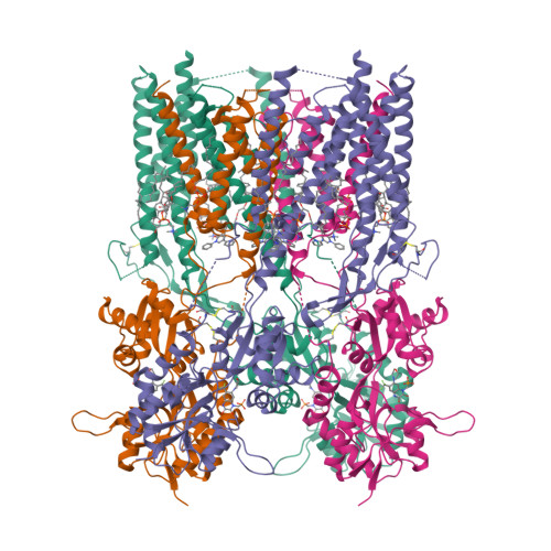 RCSB PDB - 8SS9: Structure of LBD-TMD of AMPA receptor GluA2 in complex ...