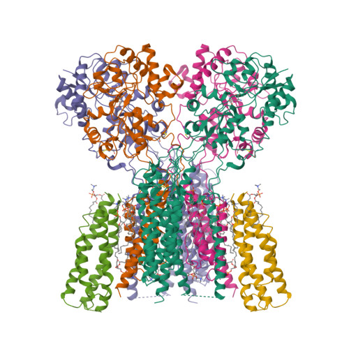 RCSB PDB - 8SSB: Structure of LBD-TMD of AMPA receptor GluA2 in complex ...