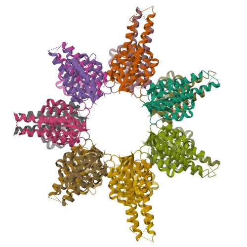 RCSB PDB - 8SSG: Minimal protein-only/RNA-free Ribonuclease P from ...