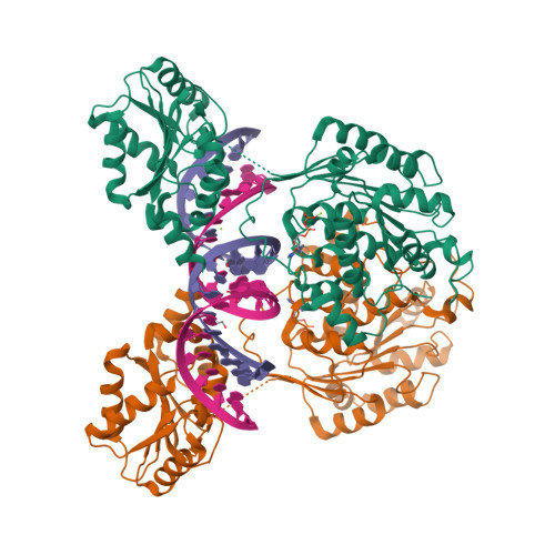 RCSB PDB - 8SSW: Crystal structure of DEAD-box RNA helicase DDX3X in ...