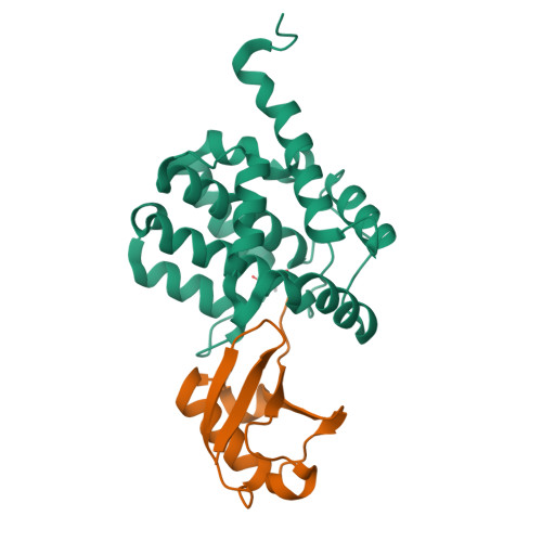 RCSB PDB - 8ST8: Structure of E3 ligase SopA bound to ubiquitin