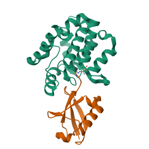 RCSB PDB - 8ST9: Structure of E3 ligase NleL bound to ubiquitin