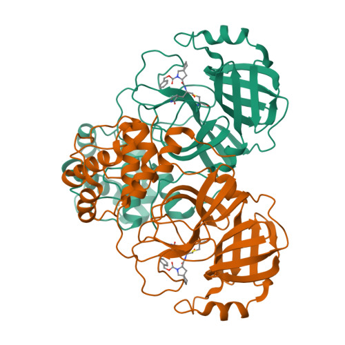 RCSB PDB - 8STY: Structure of the SARS-CoV-2 main protease in complex ...