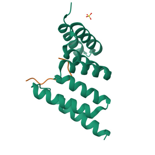 RCSB PDB - 8SUV: CHIP-TPR in complex with the C-terminus of CHIC2