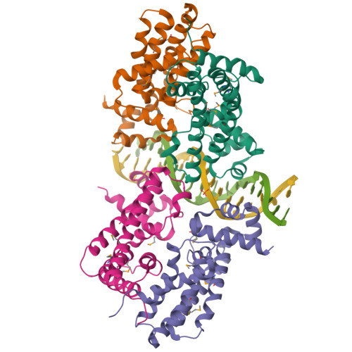 RCSB PDB - 8SVA: Structure of the Rhodococcus sp. USK13 DarR-20 bp DNA ...