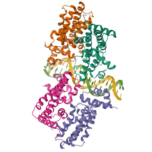 RCSB PDB - 8SVD: Structure of M. baixiangningiae DarR-DNA complex ...