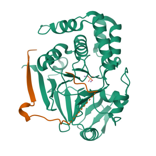 RCSB PDB - 8SW5: Protein Phosphatase 1 in complex with PP1-specific ...