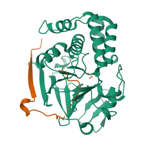 RCSB PDB - 8SW6: Protein Phosphatase 1 in complex with PP1-specific ...