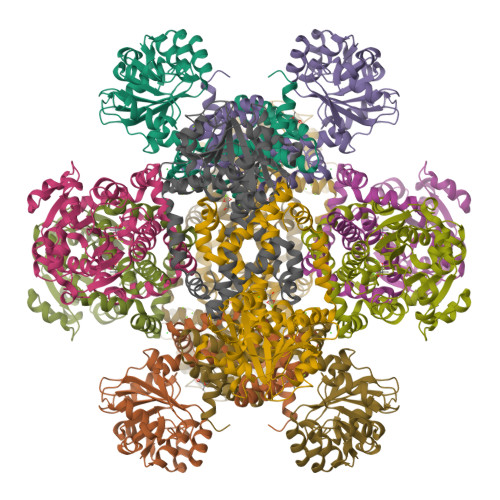 RCSB PDB - 8SWM: Crystal structure of Campylobacter jejuni ketol-acid ...