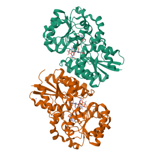 RCSB PDB - 8SYB: X-ray crystal structure of UDP-2,3-diacetamido-2,3 ...
