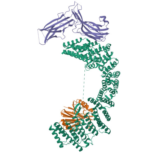 RCSB PDB - 8SYO: Human Retriever VPS35L/VPS29/VPS26C Complex (Composite ...