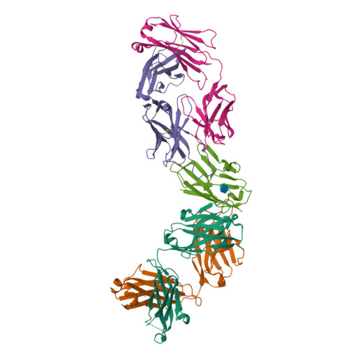 RCSB PDB - 8SZY: Crystal Structure of Heterotrimeric Anti-TIGIT Fabs in ...