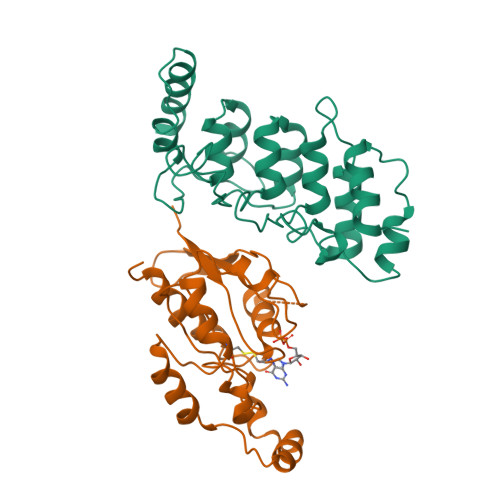 RCSB PDB - 8T1C: Cryo-EM structure of human TRPV4 ankyrin repeat domain ...