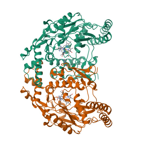 RCSB PDB - 8T1K: DSBU crosslinked nNOS-CaM oxygenase homodimer