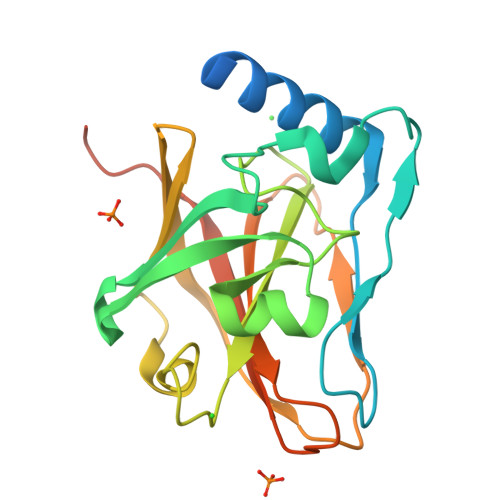 RCSB PDB - 8T28: The crystal structure of SrtC2 sortase from Actinomyces oris