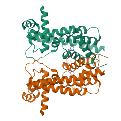 RCSB PDB - 8T5Y: Structure of Rhodococcus sp. USK13 DarR(K44A)-cAMP complex