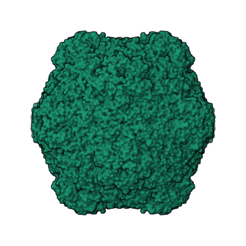 RCSB PDB - 8T6R: Acinetobacter baumannii 118362 family 2A cargo-loaded ...