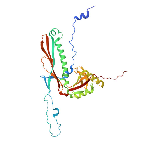 RCSB PDB - 8T6R: Acinetobacter baumannii 118362 family 2A cargo-loaded ...