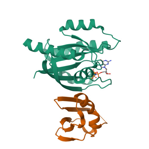 RCSB PDB - 8T74: Crystal structure of KRAS4a (GMPPNP) in complex with ...