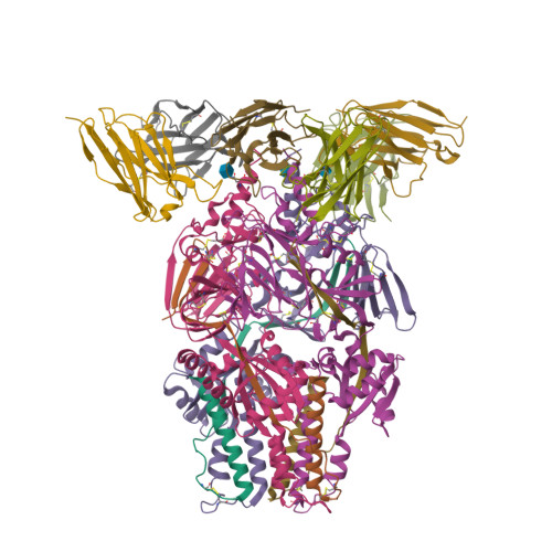 RCSB PDB - 8T7A: Cryo-EM structure of RSV preF in complex with Fab 2.4K