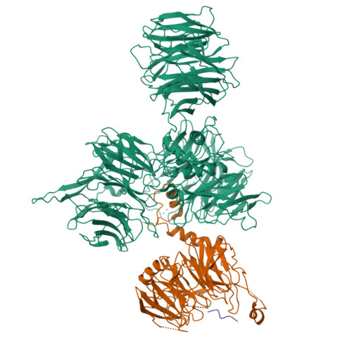 RCSB PDB - 8T9A: CryoEM structure of human DDB1-DCAF12 in complex with ...