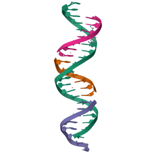 RCSB PDB - 8TA9: Sequence specific (AATT) orientation of DAPI molecules ...