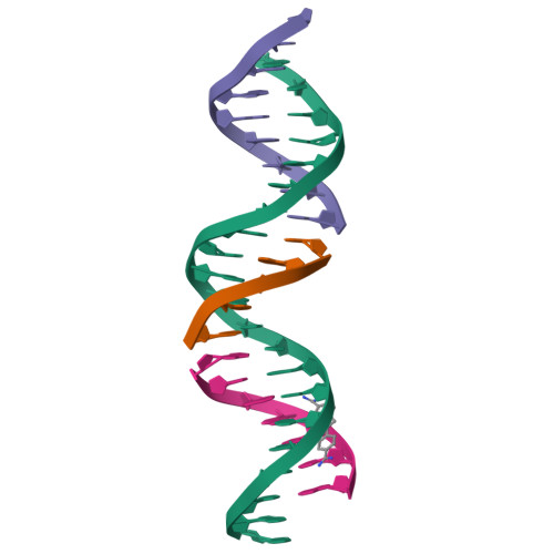RCSB PDB - 8TB3: Sequence specific (AATT) orientation of DAPI molecules ...