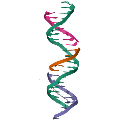 RCSB PDB - 8TB4: Sequence specific (AATT) orientation of DAPI molecules ...