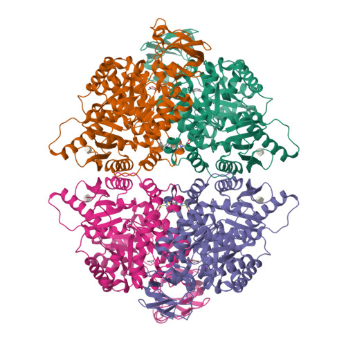 RCSB PDB - 8TBT: Structure of human erythrocyte pyruvate kinase in ...