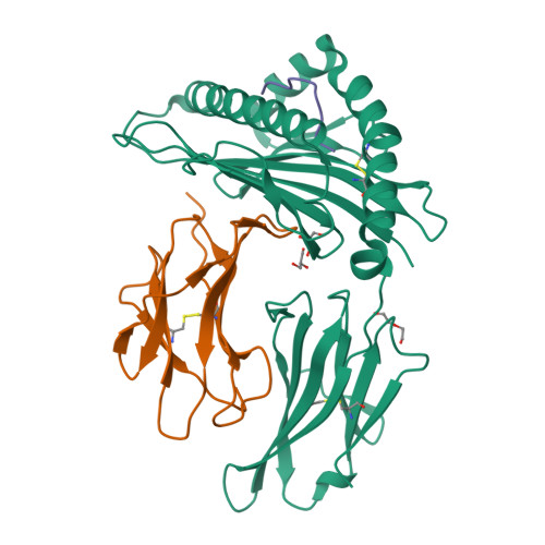 RCSB PDB - 8TBV: Human Class I MHC HLA-A2 in complex with sorting nexin ...