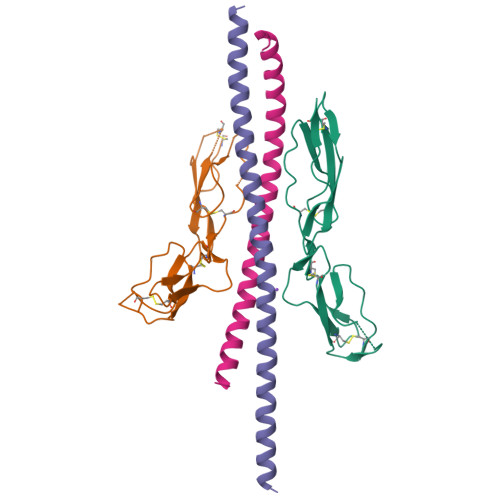 RCSB PDB - 8TCB: Structure of human C4b-binding protein alpha chain CCP ...