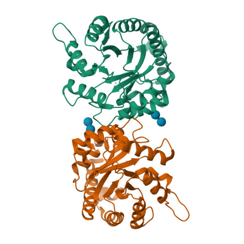RCSB PDB - 8TCS: Structure of trehalose bound Alistipes sp. 3-Keto-beta ...