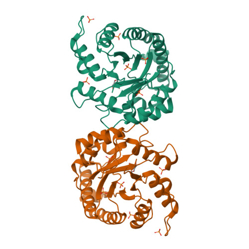 RCSB PDB - 8TCT: Structure of 3K-GlcH bound Bacteroides ...