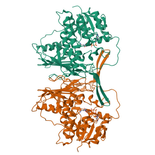 RCSB PDB - 8TDF: Structure of Alistipes sp. Glucoside-3-dehydrogenase AL3