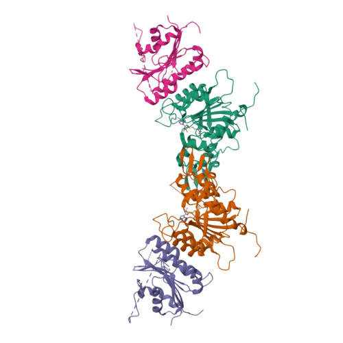 RCSB PDB - 8TDR: Crystal structure of the methyltransferase domain of ...