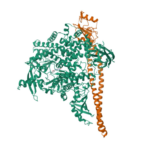 RCSB PDB - 8TDU: STX-478, a Mutant-Selective, Allosteric Inhibitor bound to PI3Kalpha