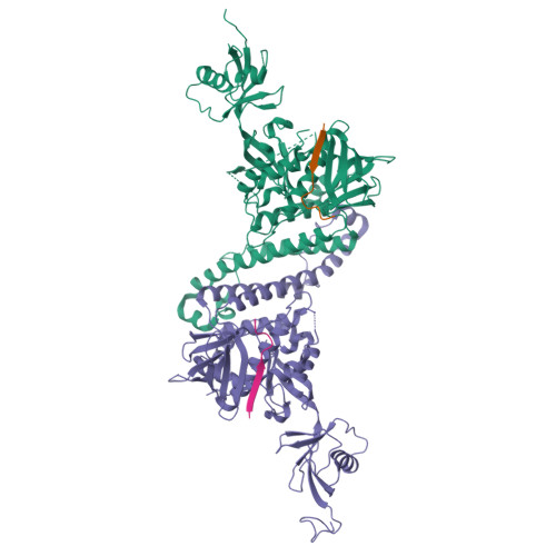RCSB PDB - 8TEE: Crystal structure of Kindlin2 in complex with K794Q ...