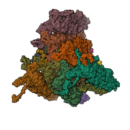 RCSB PDB - 8TEW: Human cytomegalovirus penton vertex, CVSC-bound ...