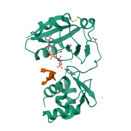 RCSB PDB - 8TG4: tRNA 2'-phosphotransferase (Tpt1) from Aeropyrum ...