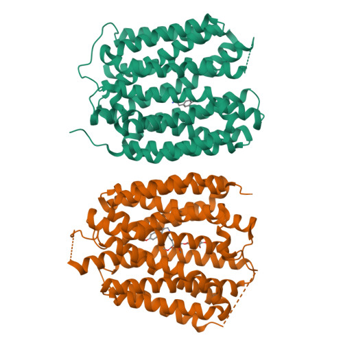 RCSB PDB - 8TGI: VMAT1 dimer with dopamine and reserpine