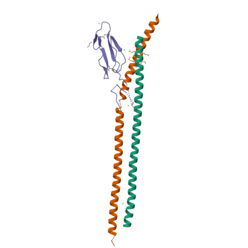 RCSB PDB - 8TGT: Structure of human C4b-binding protein alpha chain CCP ...